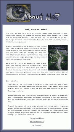 eBay About ME page Templates